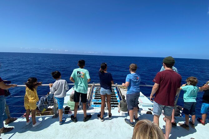 1.5 Hour Whale Watching Cruise With Transportation - FAQs