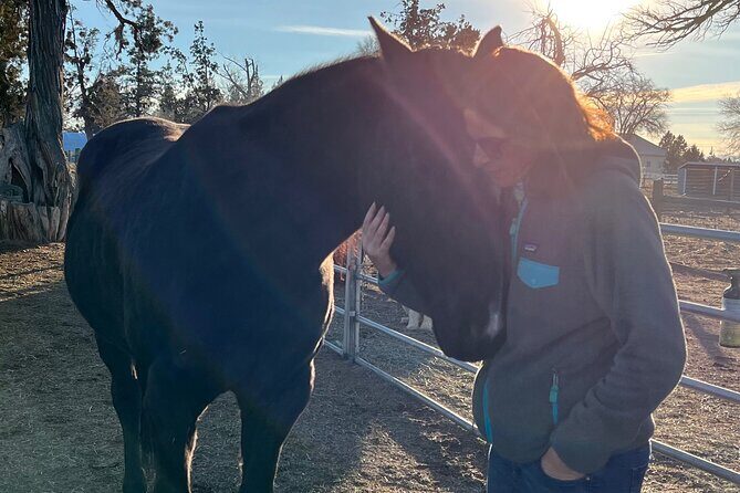 1.5 Hours Private Meditations with the Horses in Oregon - Exploring 1.5 Hours of Private Meditations with the Horses in Oregon