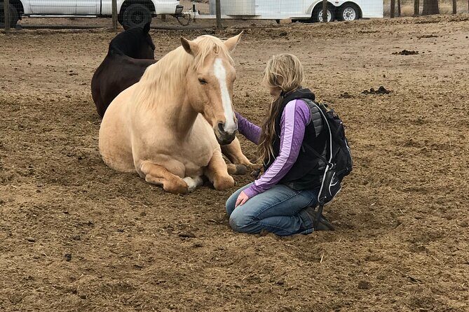 1.5 Hours Private Meditations with the Horses in Oregon - Who Is This Tour Best For?