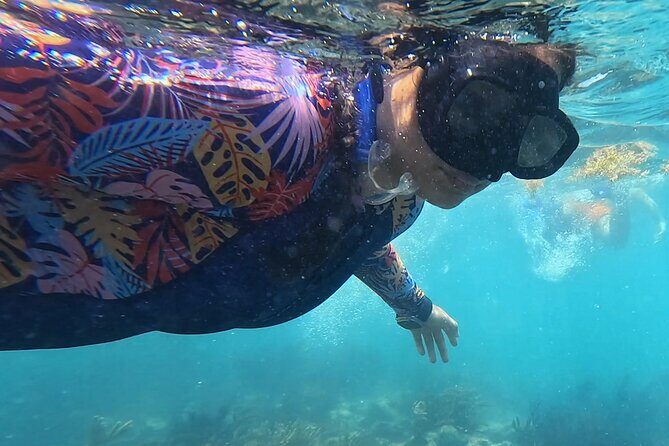 1.5 hours Snorkeling at Tulum's paradise reef - Authenticity and Customer Feedback