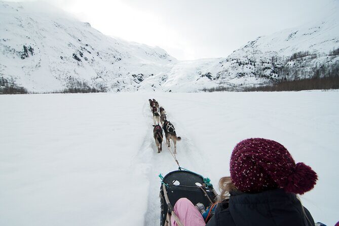 1.5 Hr - Winter Dog Sledding in Knik, Alaska - The Experience: What to Expect