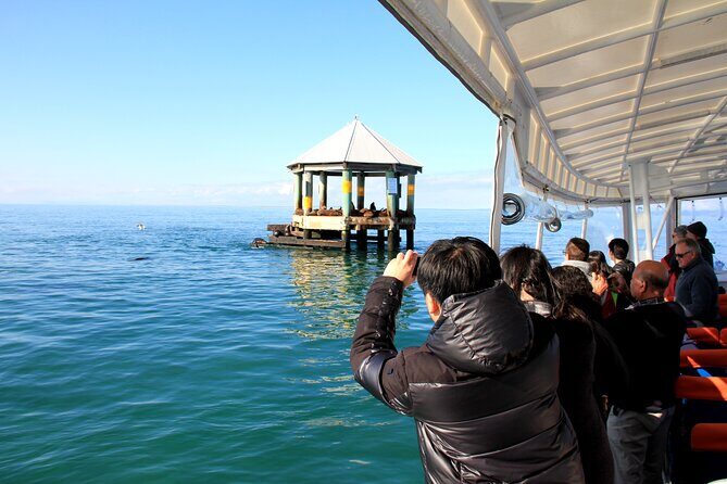 1.5hour Scenic and Wildlife luxury cruise - FAQ: Your Practical Questions Answered