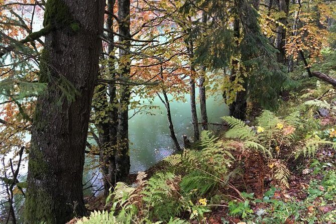 1 Day 4x4 Tour in Carpathian Mountains - Sightseeing Highlights on the Route
