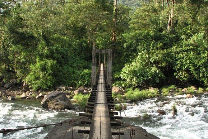 1 Day Activity Adventure Trekking Kerala - A Deep Dive Into the Kerala Adventure Trekking Tour