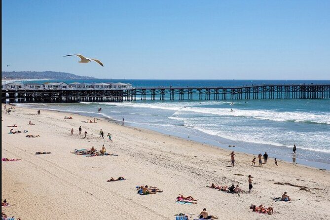 1 Day Adult Surf Retreat in San Diego - A Deep Dive into the Experience