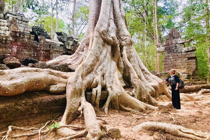 1 Day | Angkor Wat Cycling Adventures - The Sum Up