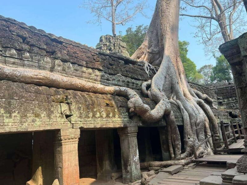 1-Day Angkor Wat Private Tour with Spanish Tour Guide. - What Travelers Say