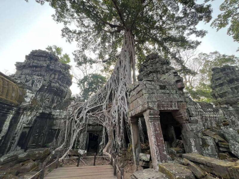 1-Day Angkor Wat Private Tour with Spanish Tour Guide. - FAQs About the Tour