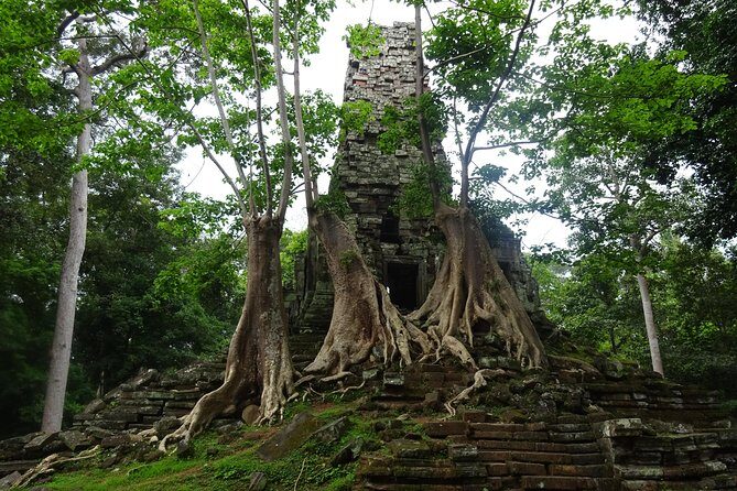 1-Day Angkor Wat Sunrise & All Interesting Temples Private Tour - Authentic Experiences & Tips