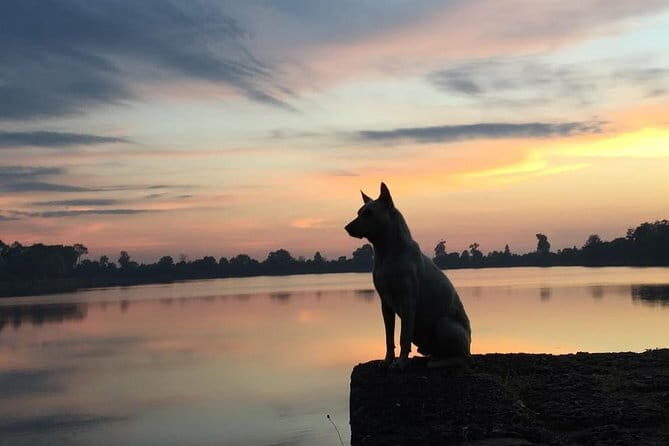 1 Day Angkor Wat with Sunrise Tour - Exploring the Itinerary in Detail