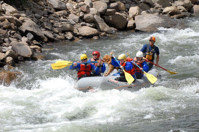 1-Day Arkansas River - Bighorn Sheep Canyon Trip - Key Points