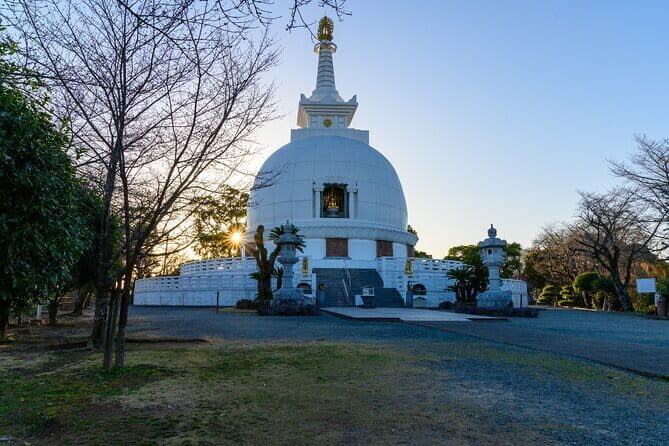 1 Day Aso 3 Sights Private Tour from or to Kumamoto - Who Will Benefit Most?