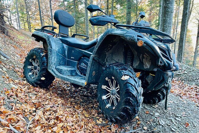1 Day ATV Tour in Carpathian Mountains - The Logistics and Group Dynamics
