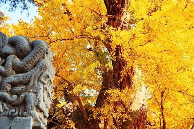 1-Day Beijing Private tour: Mutianyu Great Wall and Summer Palace - FAQ