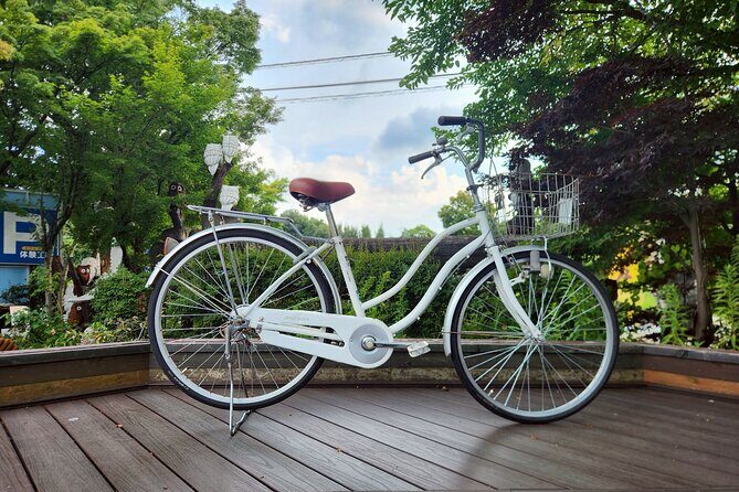 1 Day Bicycle Rental near Lake Kawaguchi - An Authentic Way to Explore Lake Kawaguchi