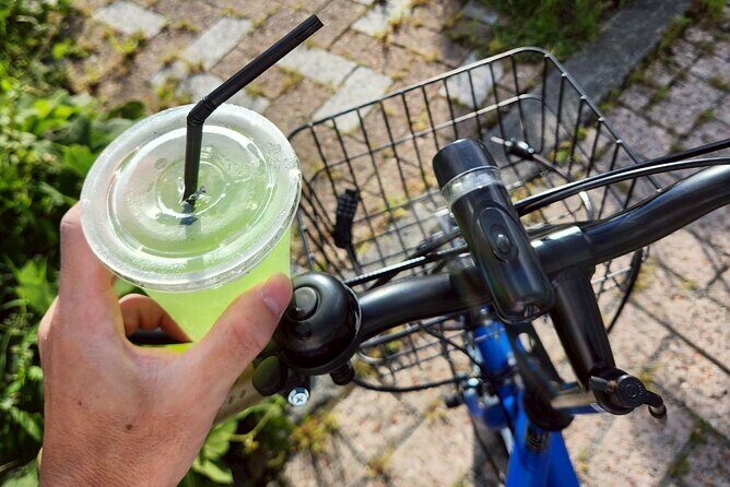 1 Day Bicycle Rental near Lake Kawaguchi - Authentic Experiences and Real Traveler Insights