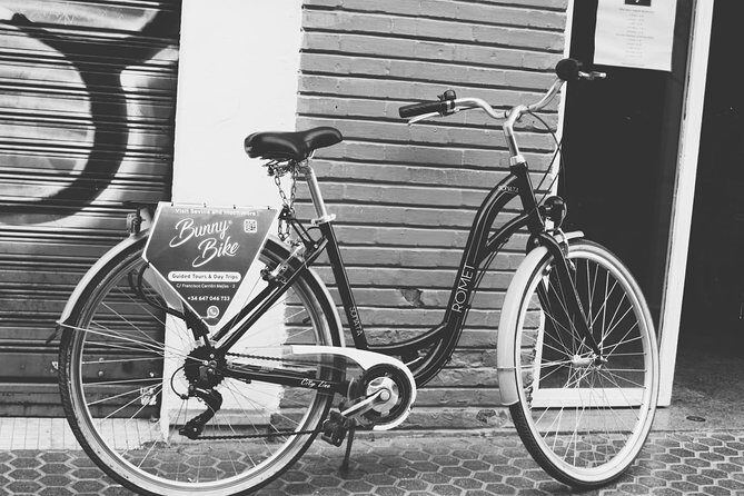 1 Day Bike Rental in Seville city - How the Day Might Unfold