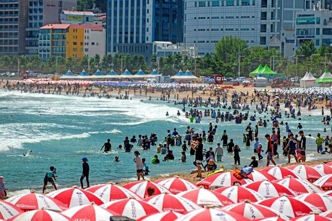 1-DAY Busan and INCLUDED night tour - Who’s This Tour Best For?