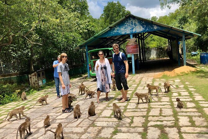 1-Day Can Gio Island- Mangrove Biosphere Reserve-Group of 10 Max - The Sum Up: Why This Tour Is a Great Value