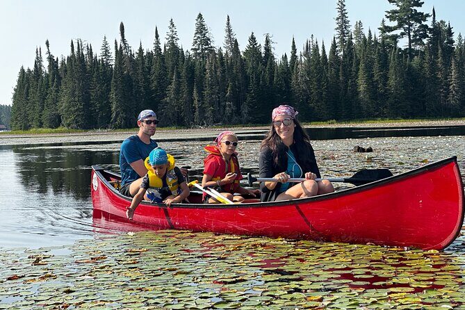 1 Day Canoeing Tour in Algonquin Park - An Inviting Introduction to Algonquin’s Natural Beauty