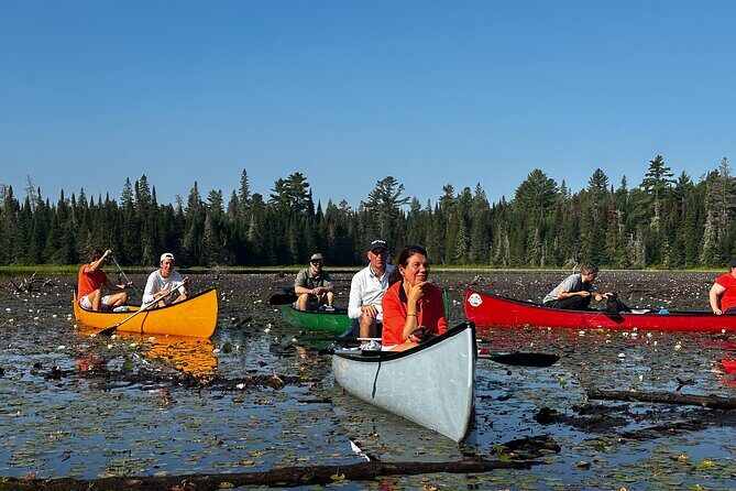 1 Day Canoeing Tour in Algonquin Park - The Itinerary in Detail: Why Each Stop Matters