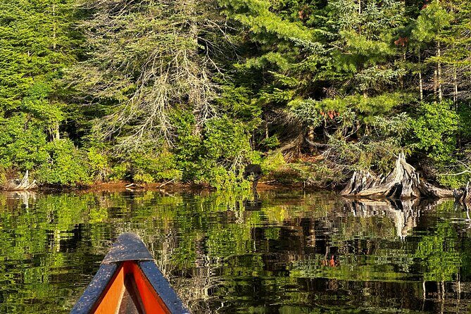 1 Day Canoeing Tour in Algonquin Park - Whats Not Included and Additional Costs