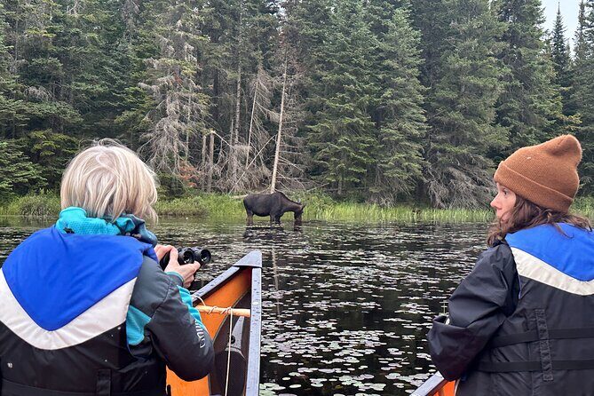 1 Day Canoeing Tour in Algonquin Park - About the Experience Provider