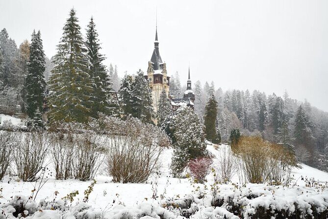 1 Day Castles Tour - Sinaia and Bran - Practical Details: What to Expect from the Tour