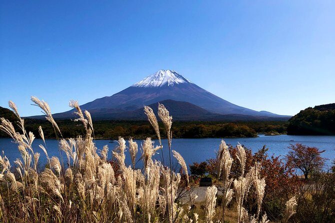 1 Day Charter Tour to Mt Fuji View - An In-Depth Look at Your Mount Fuji Day Trip