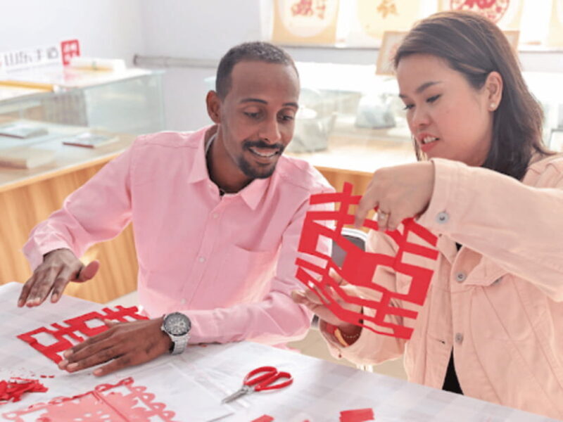 1-Day Chengdu Cultural Tour - FAQ - Your Practical Questions Answered