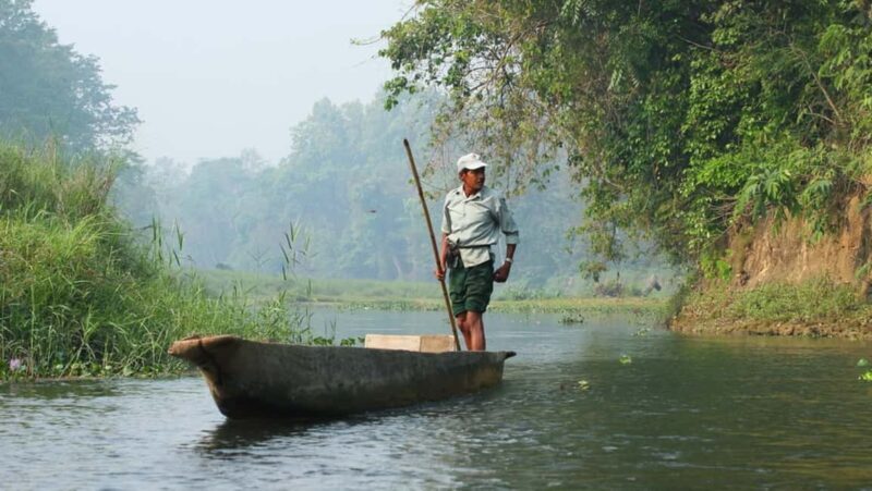 1 Day Chitwan: Jungle Safari, Canoe Ride, Tharu Dance Show - Key Points