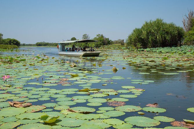 1 Day Corroboree Billabong Wetland Experience including 2.5 hour cruise + lunch - A Closer Look at the Experience
