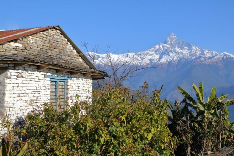 1 day Dhampus Trek - Why This Trek Offers Great Value