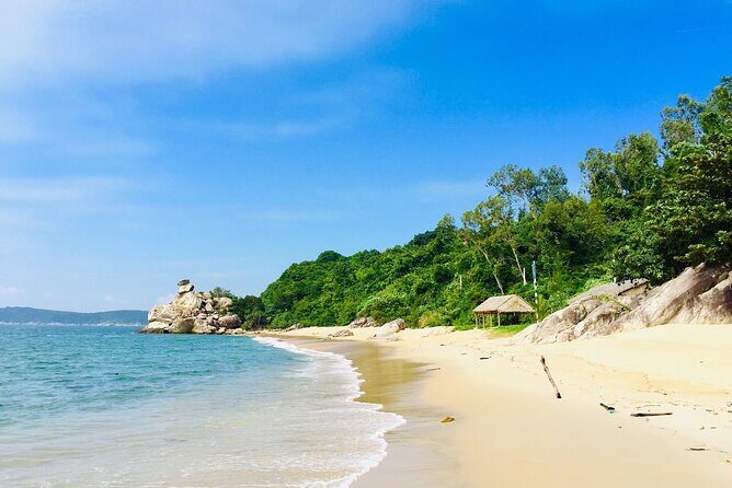 1 Day Discover Cham Island and Snorkeling - Who Will Enjoy This Tour?