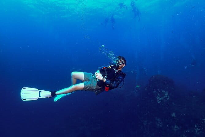 1 Day Discover Scuba Diving Experience in Koh Tao - Pricing & Value