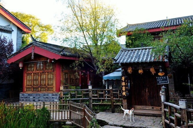 1-Day Dongba and Naxi Culture Tour in Lijiang - An In-Depth Look at Your Day in Lijiang
