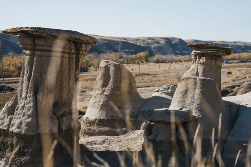 1 Day Drumheller Tour: Calgary to Hoodoos Dinosaurs Badlands - A Step-by-Step Look at the Drumheller Day Trip