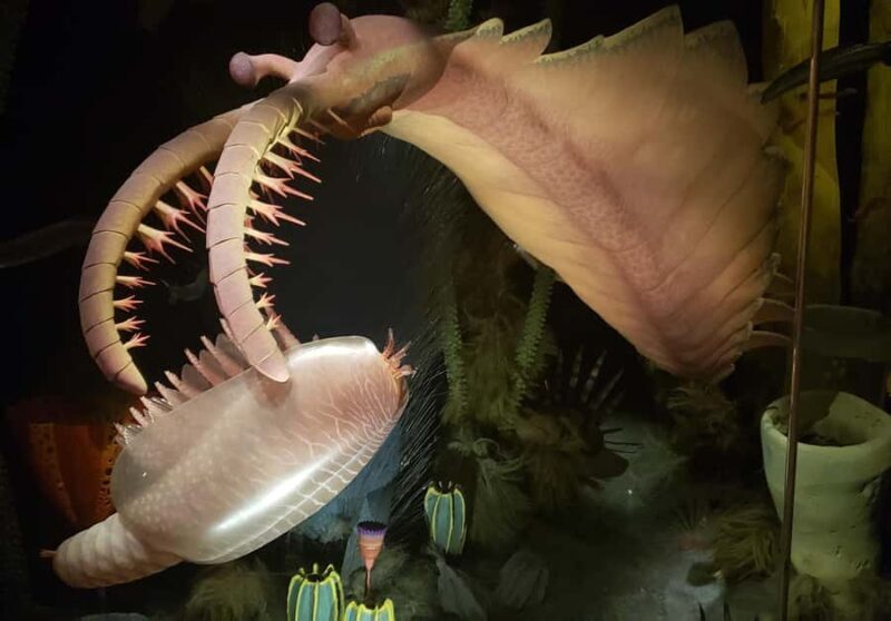 1 Day Drumheller Tour: Calgary to Hoodoos Dinosaurs Badlands - Who Would Love This Tour?