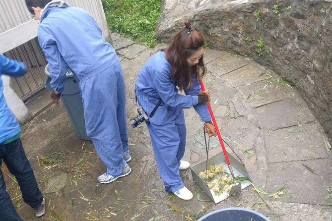 1-Day Dujiangyan Tour: Panda Volunteer Program and Mount Qingcheng - What Travelers Can Expect