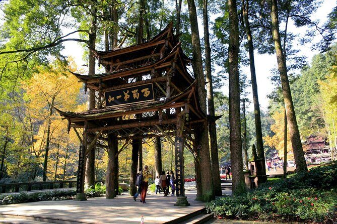 1-Day Dujiangyan Tour: Panda Volunteer Program and Mount Qingcheng - The Sum Up