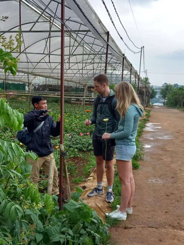 1 Day Easy Rider Tour in DalatVillages, Farms & Waterfalls - A Detailed Look at the Dalat Easy Rider Experience