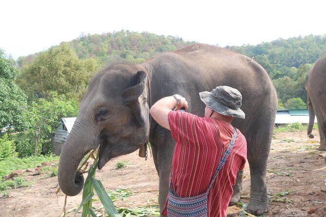 1 Day Eco Elephant Excursion - Final Thoughts: Is This Tour for You?