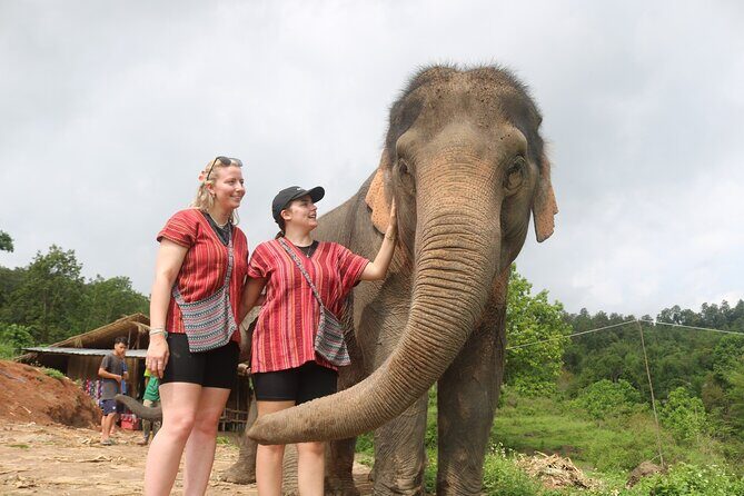 1 Day Eco Elephant Excursion - Frequently Asked Questions