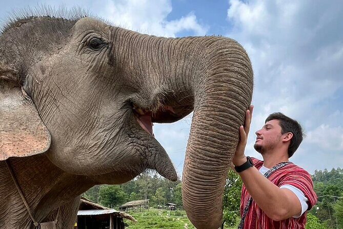 1 Day Eco Elephant Excursion - Final Word