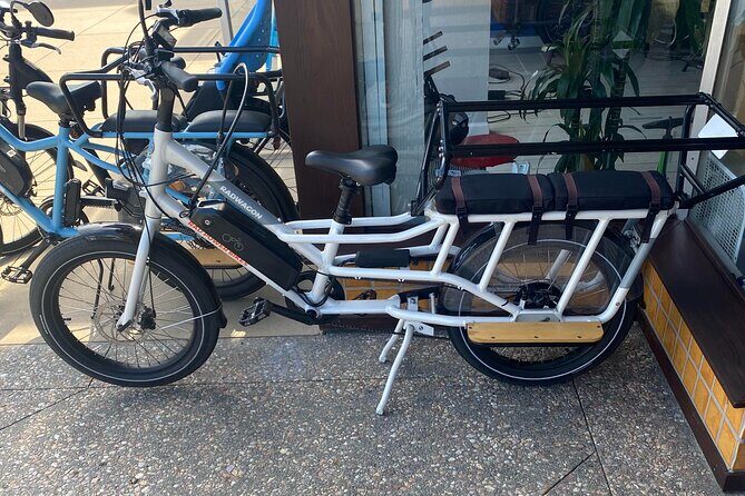 1 Day Electric Bike Rental in Solana Beach - Key Points