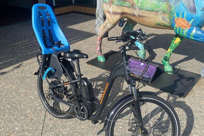 1 Day Electric Bike Rental in Solana Beach - Frequently Asked Questions (FAQs)
