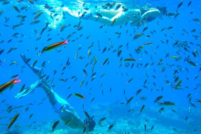 1 Day Espiritu Santo Island Wonders, Sea Lions and Paddleboard Adventure - Lunch on a Pristine Beach
