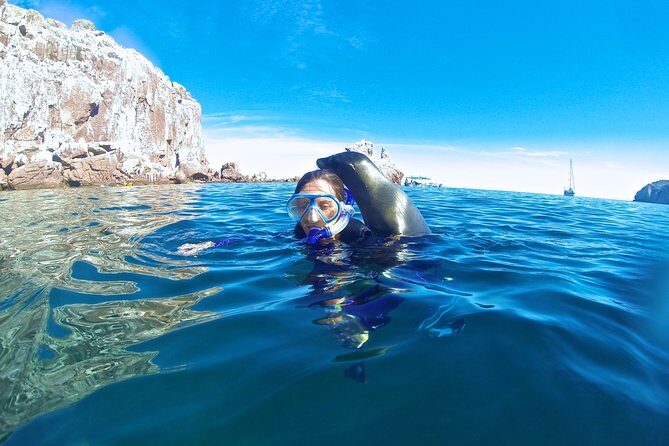 1 Day Espiritu Santo Island Wonders, Sea Lions and Paddleboard Adventure - Paddling and Relaxing on the Beach