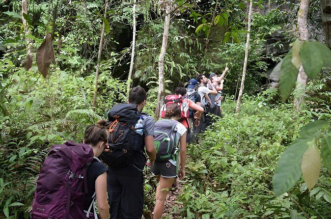 1 Day Experience of Bahorok - Value and Practical Considerations