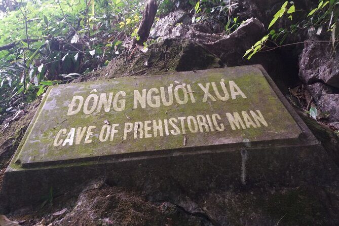 1-day Explore Cuc Phuong National Park from Hanoi - Lunch and Light Exploration in the Heart of the Park